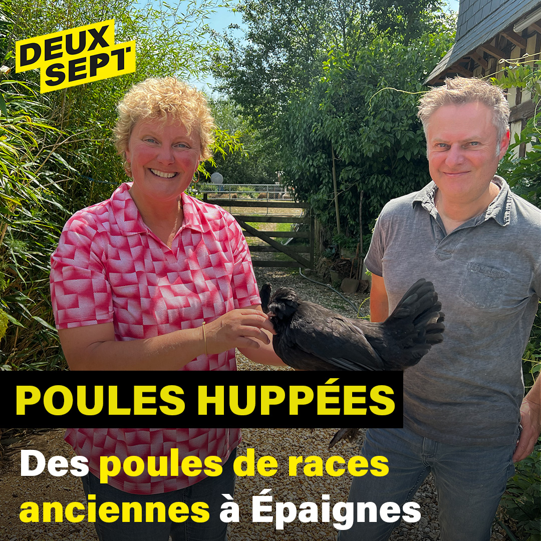 Les poules huppées : des poules de luxe – Deux Sept – l’actu et l’info ...