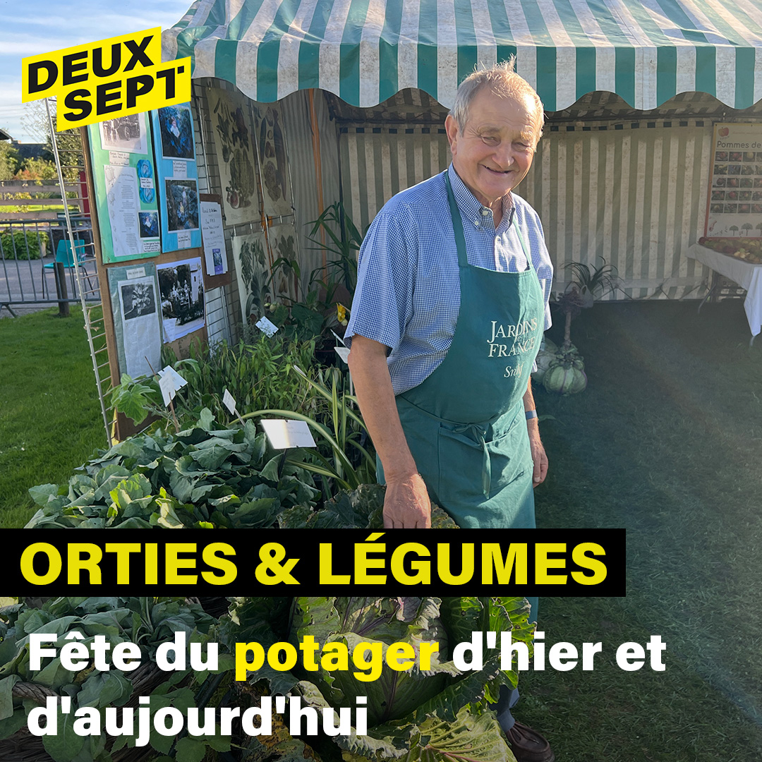 Orties et légumes oubliés – Deux Sept – l’actu et l’info de l’Eure (27 ...
